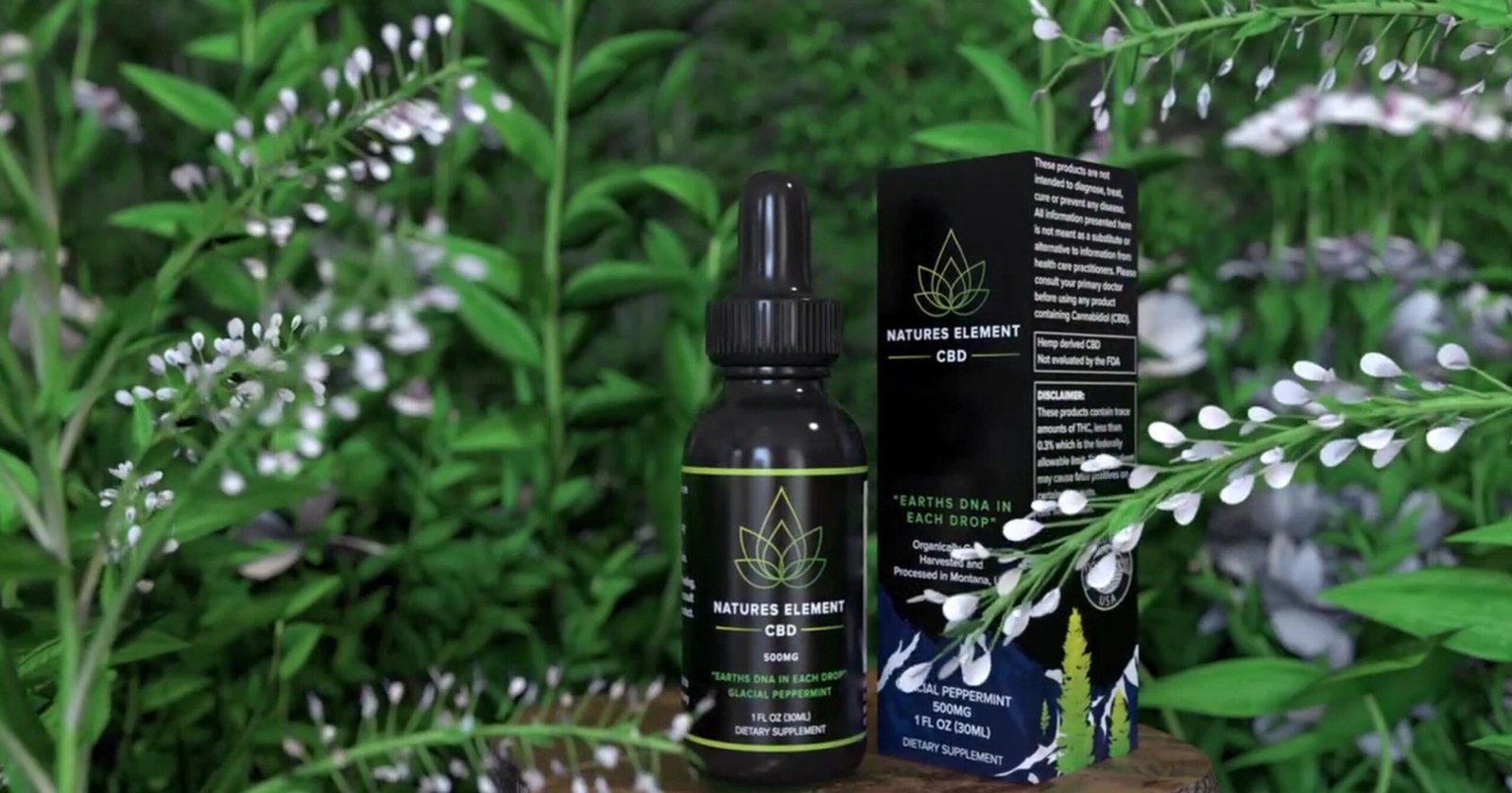 NATURE’S ELEMENT CBD — Build Graphic